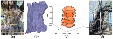Sensors Free Full Text Application Of Ground Penetrating Radar For
