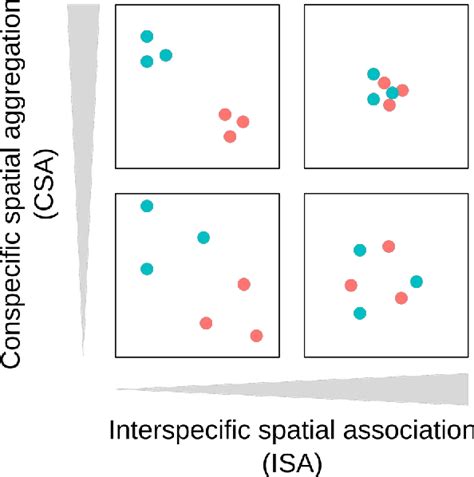 Table 1 From Measurement And Analysis Of Interspecific Spatial Associations As A Facet Of