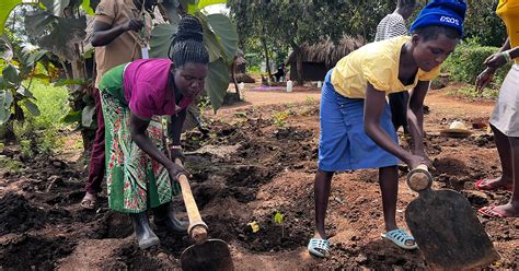 Resilience Design Toolkit Resources Resilience Design