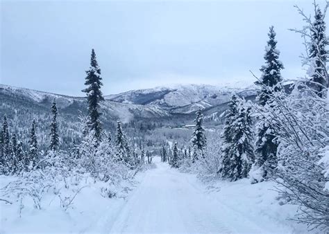 Top 10 Things To Do In Fairbanks In Winter Andrea Kuuipo Abroad