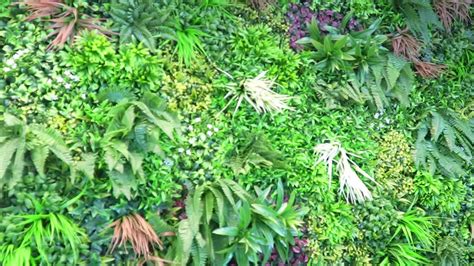 Thrive On Linkedin Retail Lms Lxp Onboarding Learninganddevelopment