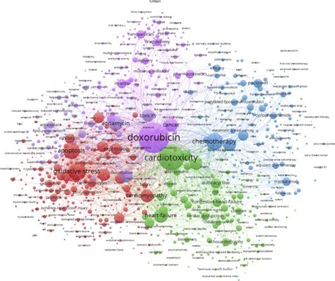 Bibliometric And Visual Analysis Of Doxorubicin Induced Cardiotoxicity