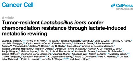 Cancer Cell：肿瘤内细菌通过产生乳酸，增强癌症治疗耐药性 生物科技 健康一线资讯