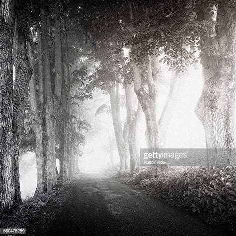 Bohemia Avenue Photos And Premium High Res Pictures Getty Images