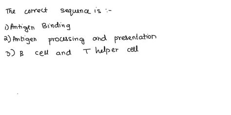 Solved The Correct Sequence Of B Cell Response Is A Clonal Expansion → Antigen Recognition →