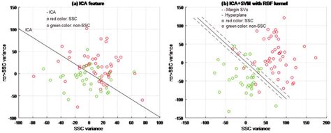 Ica Svm Classifier Model The Structure Of The Cell Is Classified And Download Scientific