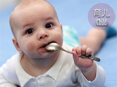 宝宝的辅食那么多到底有哪些种类呢