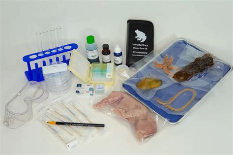 Biology Lab Kit From Cornerstone Intoxicated On Life Store