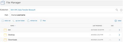 Transfer Data To Partek Flow Server Using Globus Getting Started With