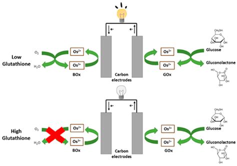 Biosensors Free Full Text A Self Powered Biosensor For The
