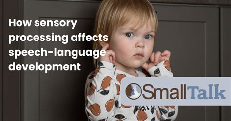 Why Is Sensory Processing Important At Carol Godsey Blog