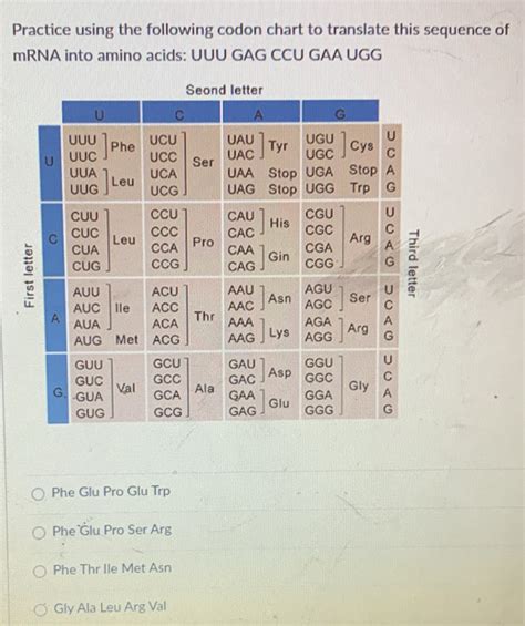 Solved Practice Using The Following Codon Chart To Translate This