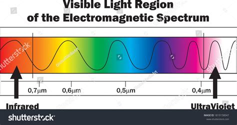 가시 조명 다이어그램 컬러 전자파 스펙트럼 스톡 벡터로열티 프리 1819158047 Shutterstock