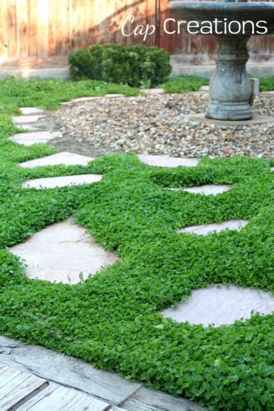 Cap Creations Pretty Yard Space