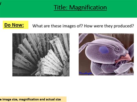 Microscopy Teaching Resources