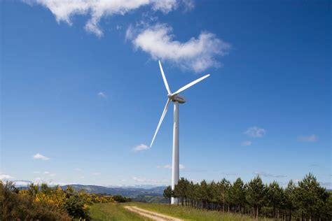 Las Cr Ticas A La Actual Expansi N De Las Energ As Renovables A Las Que Se Refiere El Director