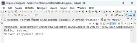 How To Implement Basic Error Handling In Socket Programming In Java