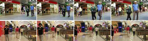 Tracking Results Under Long‐term Full Occlusion Download Scientific Diagram