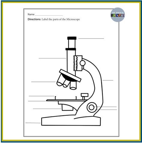 Microscope Worksheet Middle School At Austin George Blog