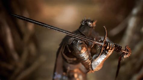 Lords Of The Fallen Dark Crusader Starting Class On Steam Lords Of The Fallen Dark Crusader Starting Class On Steam