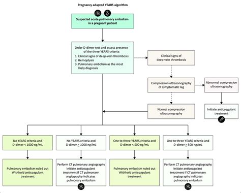 Pregnancy Adapted Years Algorithm Download Scientific Diagram