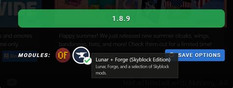 Issue Using Forge Within Lunar Client Crashes Hypixel Forums
