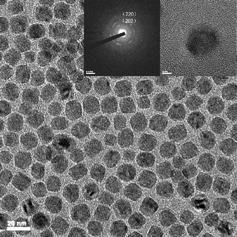 Bright Field Tem Micrograph Of Mno 2 Nanoparticles Diffraction Pattern