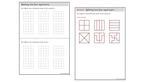 Splitting Into Four Equal Parts Investigation Primary Stars Education