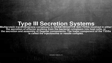 Medical Vocabulary What Does Type Iii Secretion Systems Mean Youtube