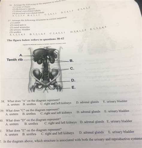Solved Arrange The Following In The Sequence In Which 1