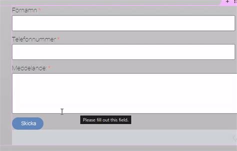 elementor submit form active button border r elementor