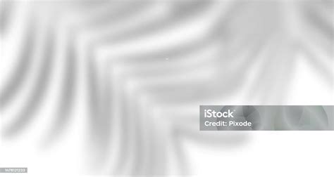 사실적인 흐릿한 자연광 나뭇잎 손바닥 및 창 그림자 오버레이가 벽 종이 또는 프레임 질감 추상 배경 여름 봄 가을에 제품 프레젠테이션 연단 및 모형 계절에 적용됩니다 0명에