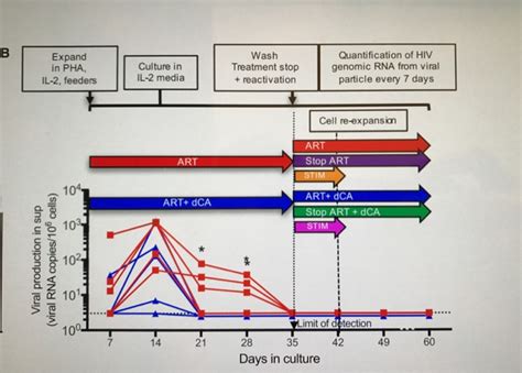 Figure 1 What Are The Scientists Showing In Figure 1A Chegg Com