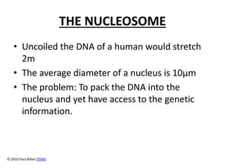 Dna Coilingppt
