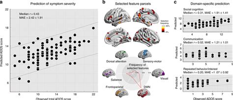 Relation To Asd Symptom Severity A A Supervised Learning Algorithm Download Scientific Diagram