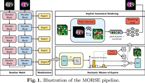 Implicit Anatomical Rendering For Medical Image Segmentation With