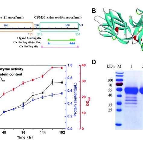 Protein Sequence Three Dimensional Structure Expression And Download Scientific Diagram