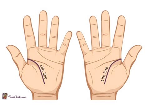 Palm Reading Guide How To Read Palms And Understand Your Personality YourTango