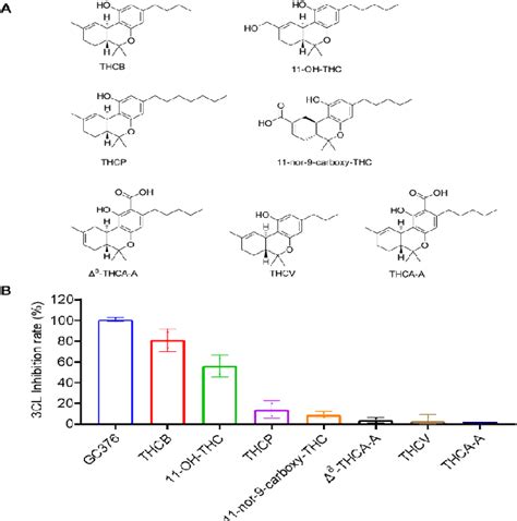 Figure 1 From Identification Of Sars Cov 2 Main Protease Inhibitors From A Library Of Minor