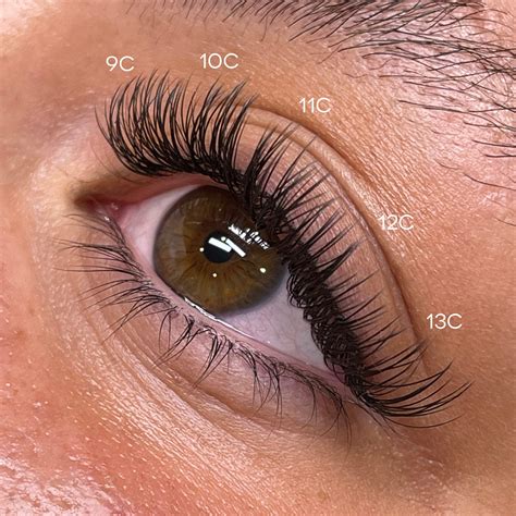 Classic Lash Extensions Map In 2022 Lash Extensions Lashes Perfect Eyelashes