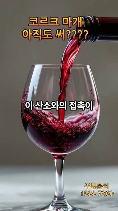 아직도 코르크 마개를 쓰는 이유 와인 술 주류 금호주류 술상식 화이트와인 레드와인 Youtube