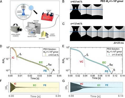 Macromolecular Relaxation Strain And Extensibility Determine