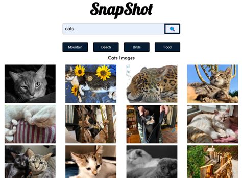 GitHub Ajarek React Vite Ts Snap Shot