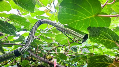 남해군 기후변화 대처 과수 스마트 관개시스템 시범사업 네이버 블로그