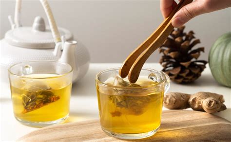 Damiana Para Qué Sirve Esta Planta Medicinal Usos Y Cómo Tomarla