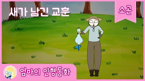 [소곤소곤 잠자리 동화]새가 남긴 교훈 잠자리에서 듣는 동화 잠자리 동화 수면 동화 어린이 탈무드 지혜로운 이야기