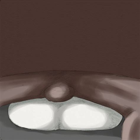 Rule 34 Animated Female From Front Position Mating Press Missionary