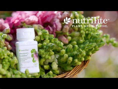 Nutrilite Memory Builder Supplement Alfred Al Hamilton Nutrilite Memory Builder Supplement Alfred Al Hamilton
