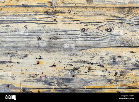 Wood Texture Background Natural Tree Stock Photo Alamy