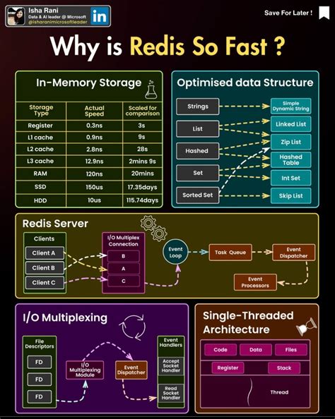 Mariam Carishma William N On Linkedin Softwareengineering